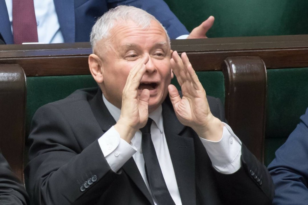 Nowy sondaż OKO.press i TOK FM. Wysokie poparcie dla PiS przed świętami ...