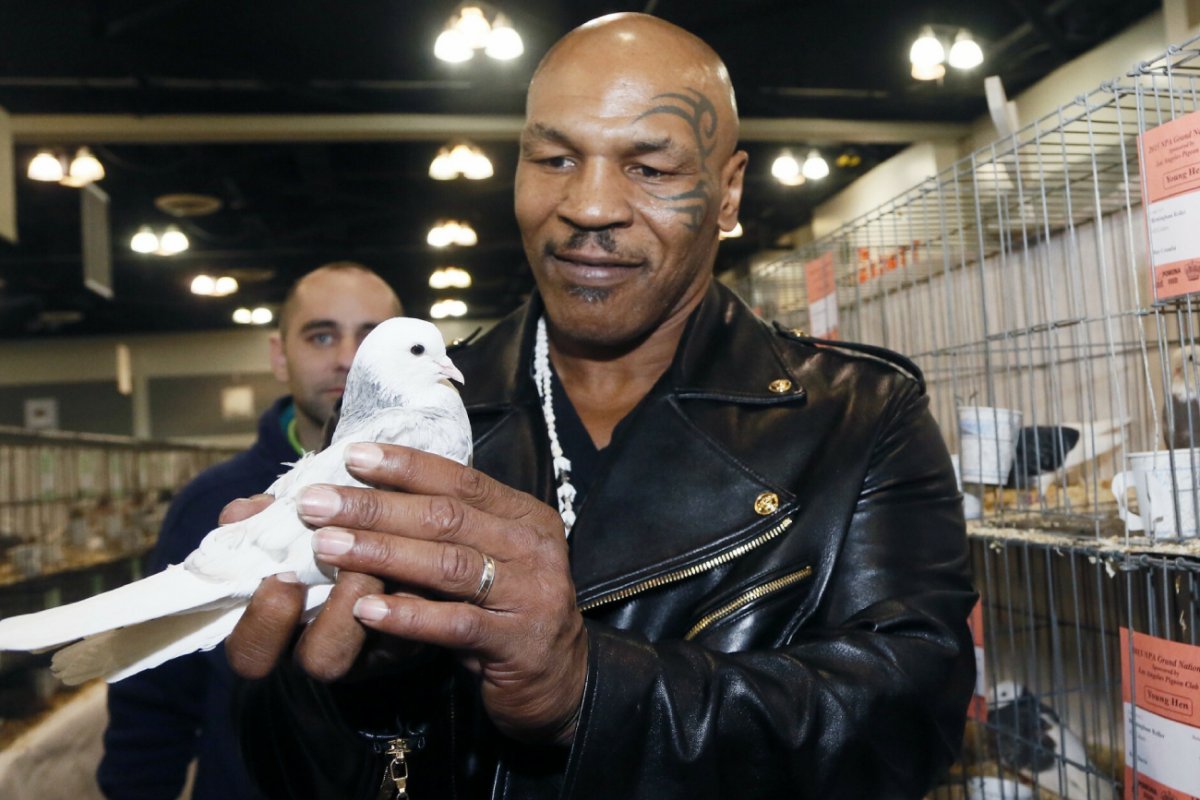 Mike Tyson w Polsce. Amerykański pięściarz odwiedził rolnika pod Łomżą ...