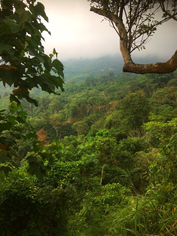 35 zdjęć z Amazonii, które pokazują co płonie. Tak wygląda tam życie ...