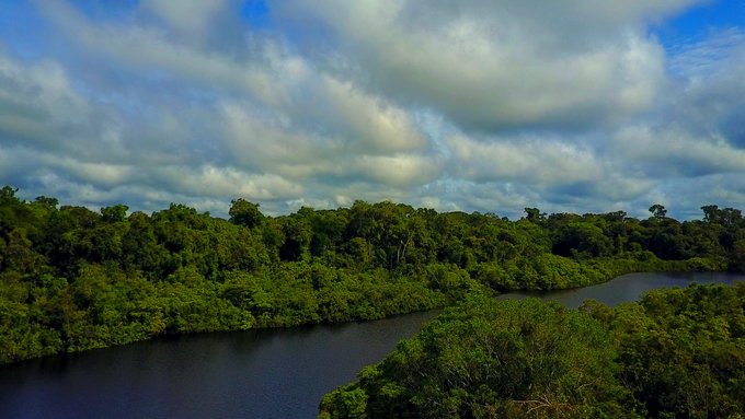 35 zdjęć z Amazonii, które pokazują co płonie. Tak wygląda tam życie ...