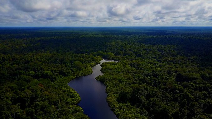 35 zdjęć z Amazonii, które pokazują co płonie. Tak wygląda tam życie ...